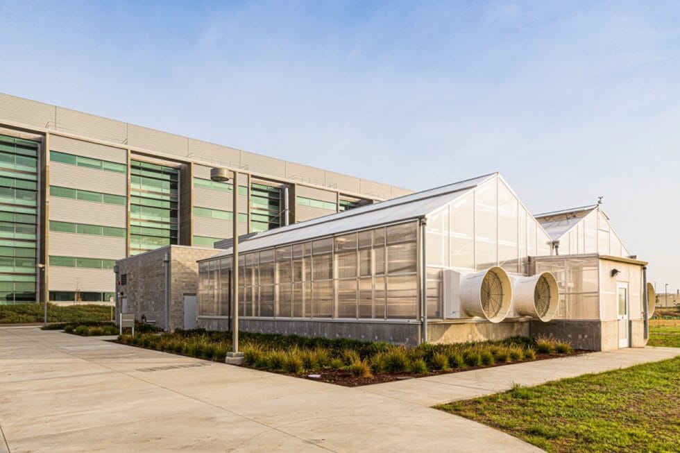 Greenhouse | Agriculture Experiment Station